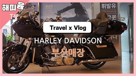 할리데이비슨 코리아 부산매장 Youtube