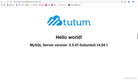 centos使用docker搭建lamp环境 csdn博客