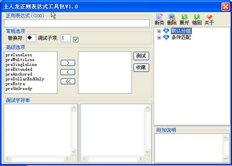 正则表达式检验工具v1 1 0 0 绿色免费版 东坡下载