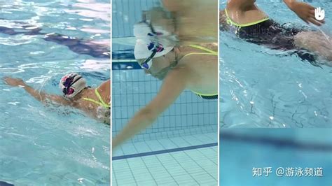 新手入门自由泳教学视频:自由泳的双臂划水技巧 知乎 新手入门自由泳教学视频:自由泳的双臂划水技巧 知乎