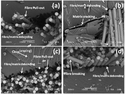 Sem Micrographs Indicating The Failure Modes Of Fractured Gfrp