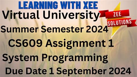 Cs609 System Programming Assignment 1 Summer Semester 2024 Virtual