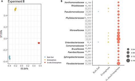 Contribution Of The Seed Inherited Root Microbiome To The Maize Root Download Scientific