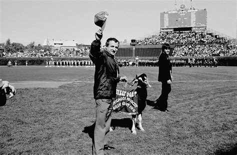 The Chicago Cubs And The Curse Of Murphy Wtop News