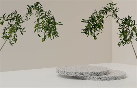 하얀 화강암 바위 연단 또는 돌 무대와 나뭇잎 프리젠테이션 화장품을 위한 나뭇가지 모형 스탠드 제품 장면 배경입니다 3d 연단 무대 그림 0명에 대한 스톡 사진 및 기타
