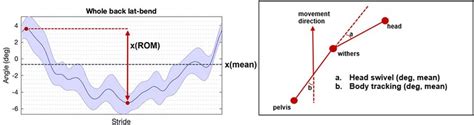 The Left Graph Illustrates How Stride Mean And Range Of Motion Rom Download Scientific