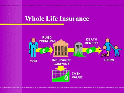 Things To Know About Variable Universal Life Insurance