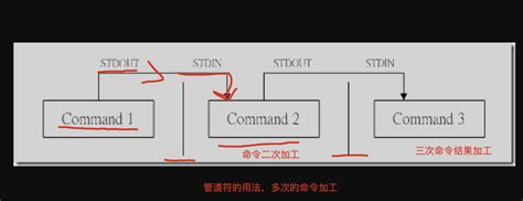 linux常用命令 阿明明 博客园