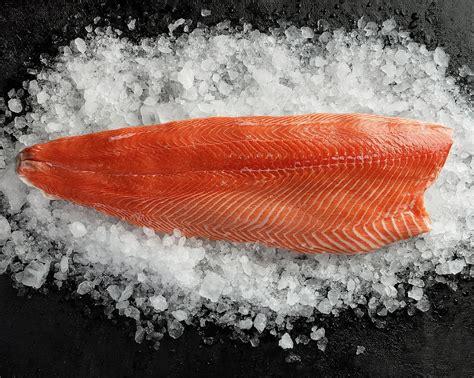 ახალი ნორვეგიული ორაგული Facebook