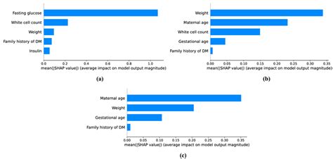 Global Feature Importance Based On Mean Absolute Shap Value For A