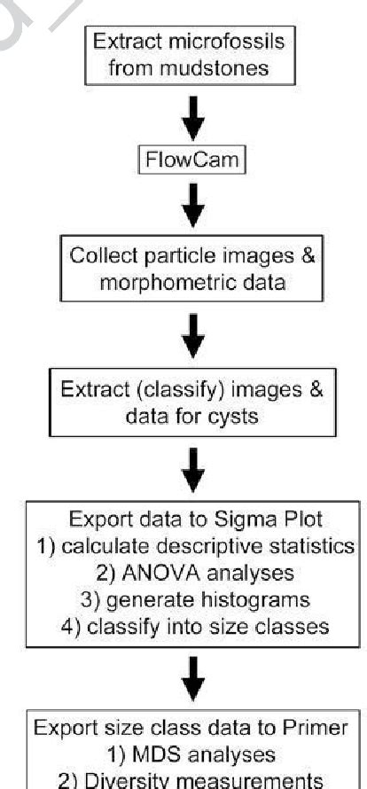 Figure 1 From Potential Use Of Chrysophyte Cyst Morphometrics As A Tool For Reconstructing