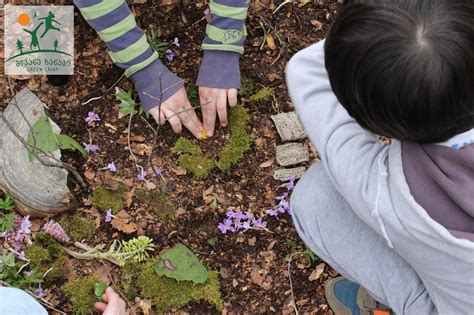 მწვანე ბანაკი • Green Camp Home Facebook