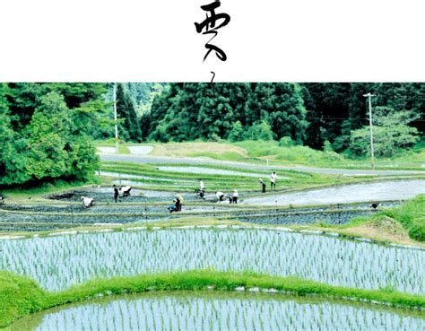 京都・丹後の宮津 カウンター鮨割烹 西入る【公式】