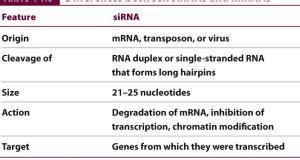 Chapter 14 RNA Molecules And RNA Processing Flashcards Quizlet