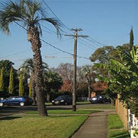 Chathurya Roboflow Universe