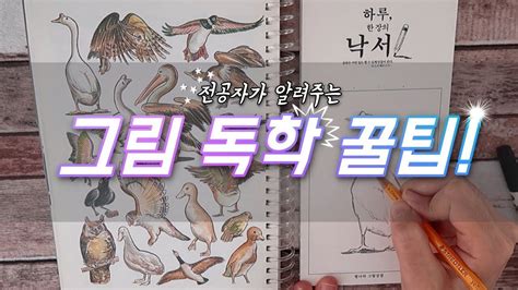 🎨그림 독학 꿀팁 전공자의 조언🎨별나라⭐손그림강좌 그림 색연필 그림 쉬운 그림 그리기