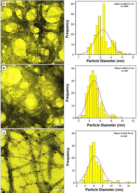 Transmission Electron Microscopy Image And Particle Size Distribution Download Scientific