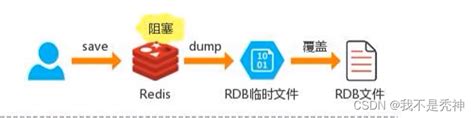 Redis之持久化操作appenddirname Csdn博客