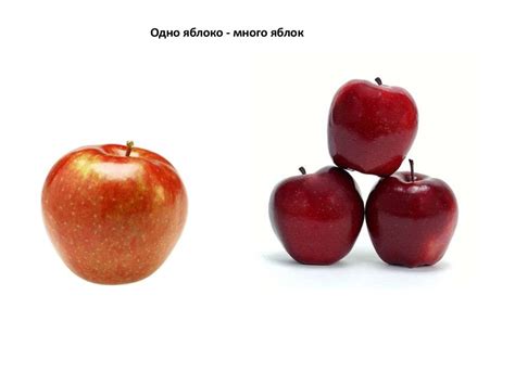 Предметы Один И Много Картинки Для Детей – Telegraph