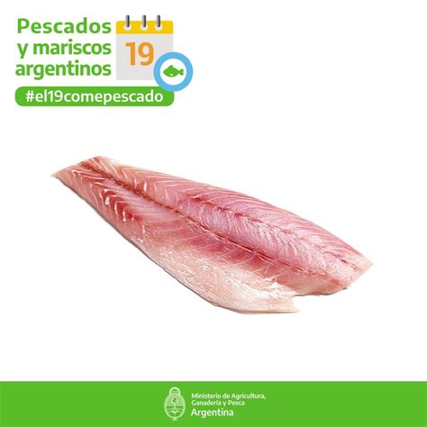 Filet De Mero Congelado X KG Venta Online De Pescados Y Mariscos Berardi S A