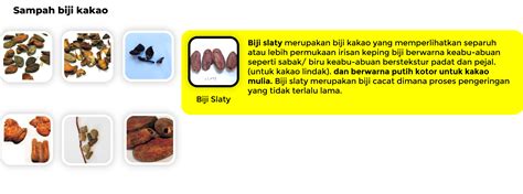 Pengujian Mutu Biji Kakao