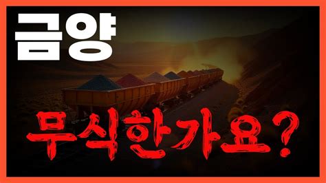 🔥 금양 🔴블록딜 물량 소화 후 방향성 여부곧 결정 Youtube