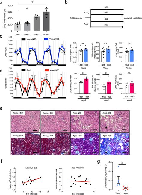 The Effect Of Salt Loading On Diurnal Polyuria Differs In Young And