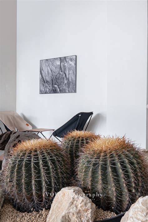 ROCKLAND + P.L.U.S. :: Behance