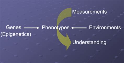 Bioinformatics Exam Flashcards Quizlet