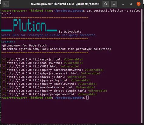 Plution Prototype Pollution Scanner