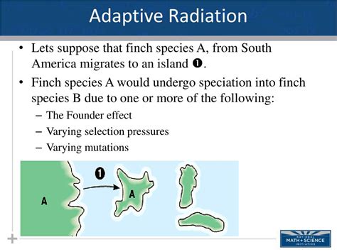 Ppt Macroevolution Part Ii Allopatric Speciation Powerpoint Presentation Id 6718335