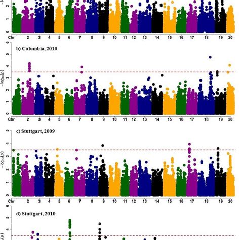 5 Manhattan Plot Of Log10 P Vs Chromosomal Position Of Snp Markers Download Scientific
