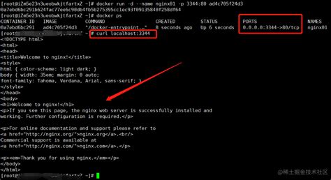 Docker 部署nginx服务 阿里云开发者社区