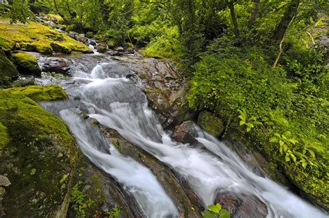 მაჭახელას ეროვნული პარკი
