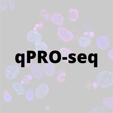 a rapid sensitive scalable method for precision run on sequencing qpro seq