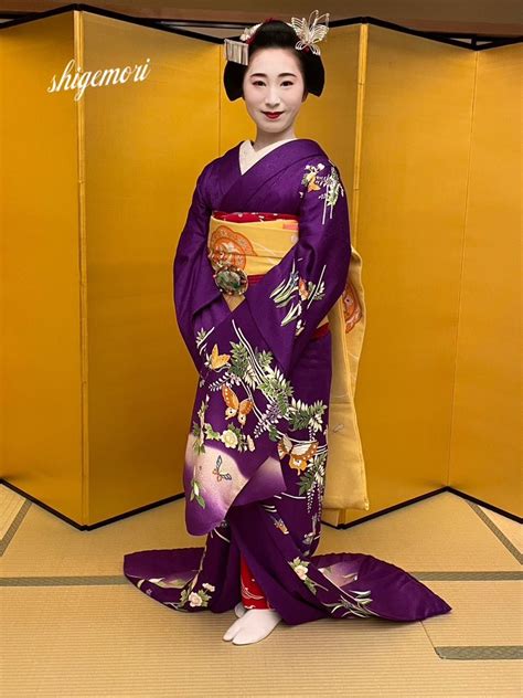 京都宮川町お茶屋しげ森 on Twitter ふく侑さん4月のお衣装は濃い紫に春のお花の柄どす 帯は染帯になりました