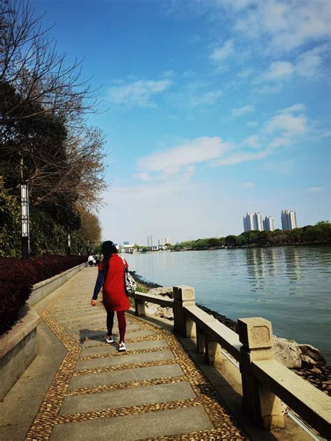 分为各半卯酉河