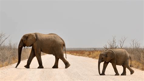 Hadoop Vs Snowflake