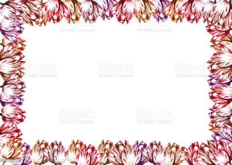 귀여운 가와이 봄 손 그린 파스텔 색상 수채화 튤립 테두리 프레임 장식 일러스트 A4 A5 A3 국제 종이 슬라이드 포스터 카드 와 무료 빈 복사 공간 텍스트 A4 용지에