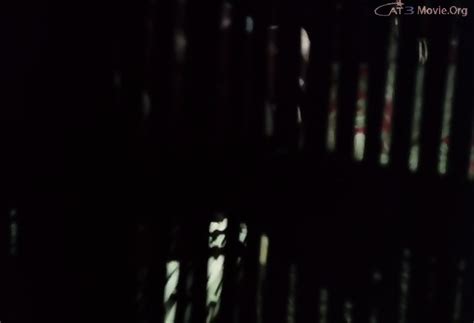 Kisah Asmara Para Perawan