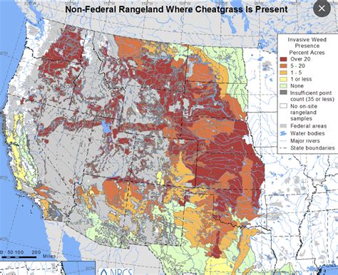 Cliff Mass Weather Blog The Essential Ingredients Of The Most Destructive Wildfires Wind And Grass
