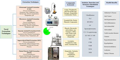 Schematic Representation Of Extraction To Identification Of Bioactive Download Scientific