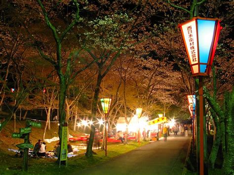 龍野公園の桜とお花見 壁紙写真集 無料写真素材