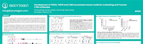 Aacr 2025 Development Of Tnfr2 Tnfr1 And Ltbr Humanized Mouse Model For Evaluating Anti Human