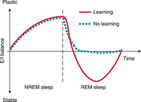 An Illustration Of The Complementary Process Download Scientific