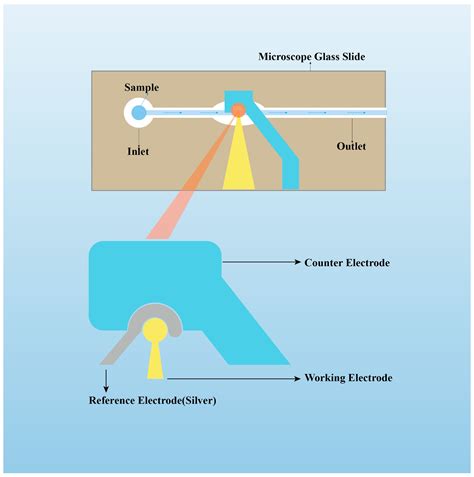 Sensors Free Full Text Application Of Biosensors In Detecting