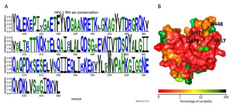 Conservation Profile Of Hiv 1 Rt Rnase H Domain A Logo Of Degree Of