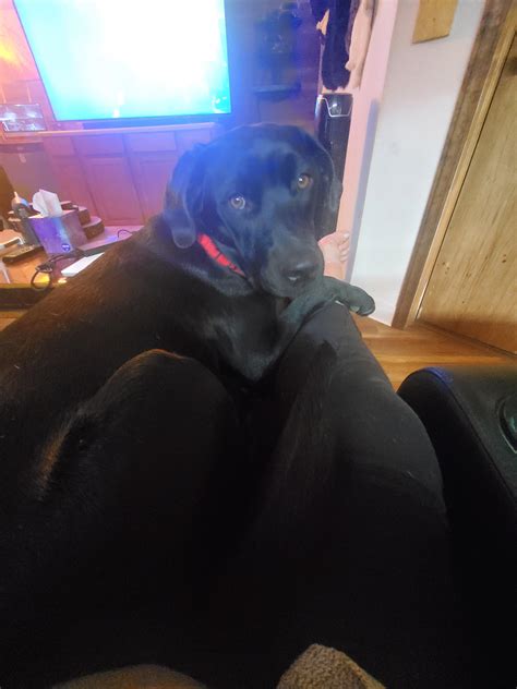 2955 Best Hot Mom Images On Pholder Charli Damelio Mommy Amihot And