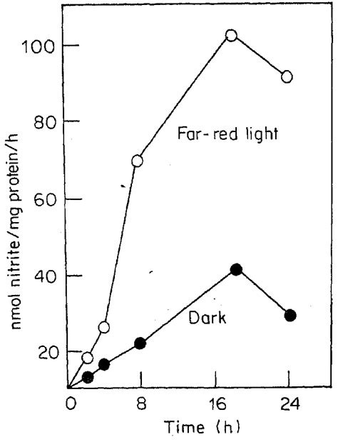 Kinetics Of Induction Of Nitrate Reductase Activity Under Continuous