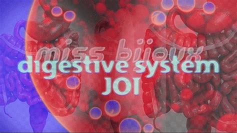 Digestive System Joi Hd Visualizer Mistress Bijoux Clips4sale